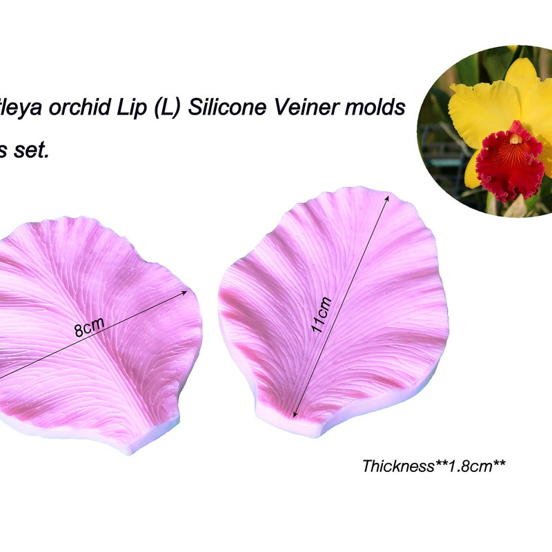 Orchid Flower Veiner - Etsy