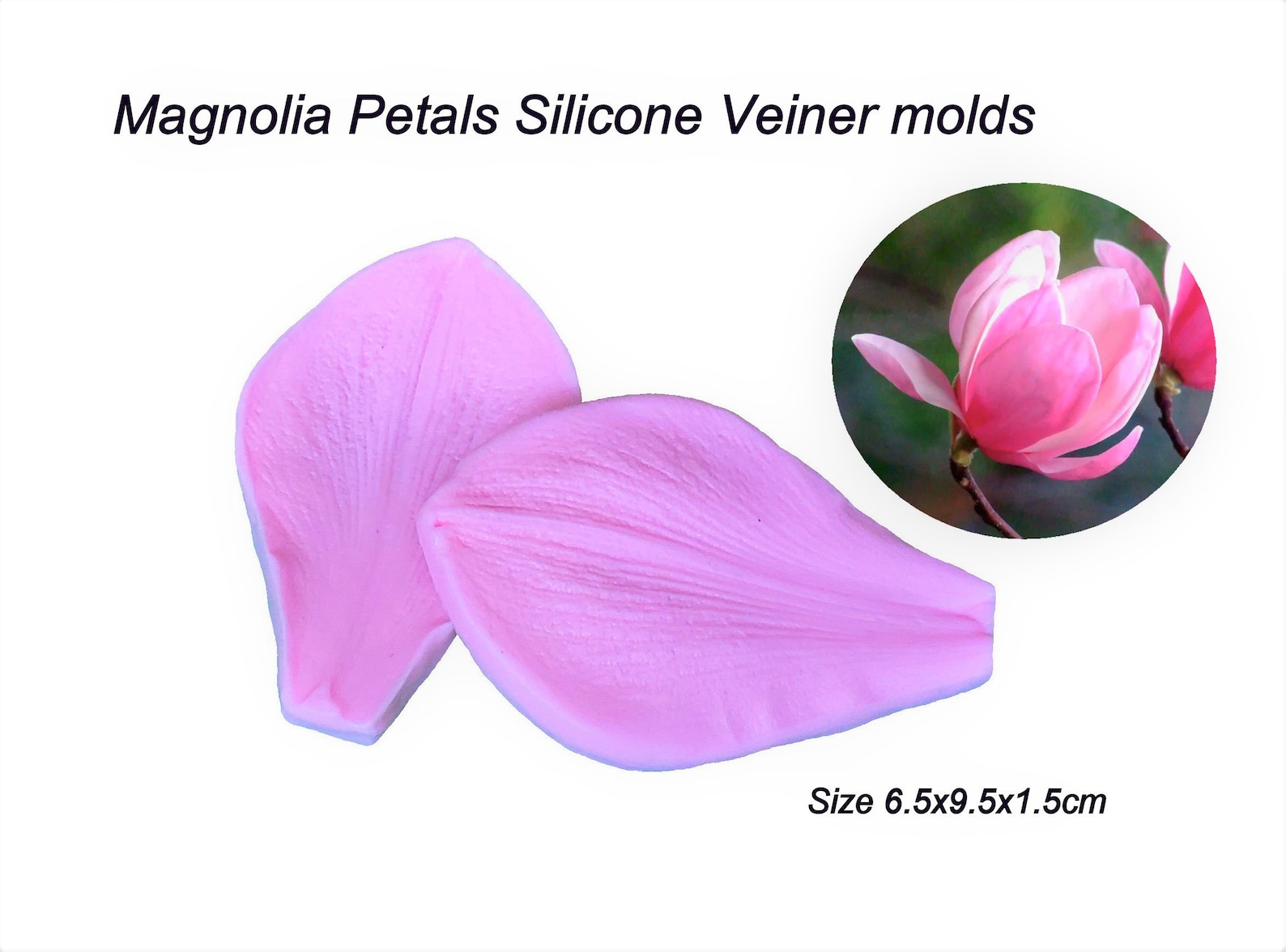 Magnolia Petals Silicone Veiner Molds Clay Flowersgum Paste - Etsy