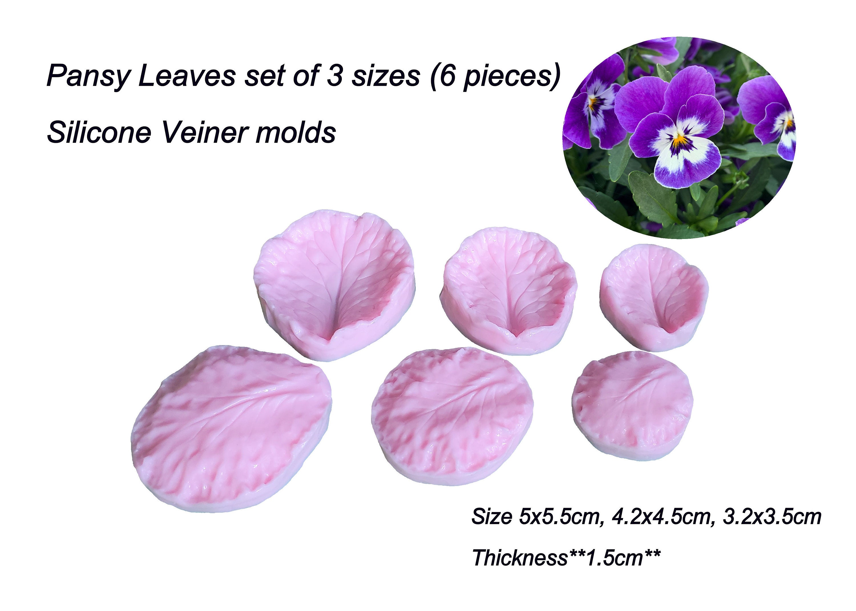Pansy Leaves
