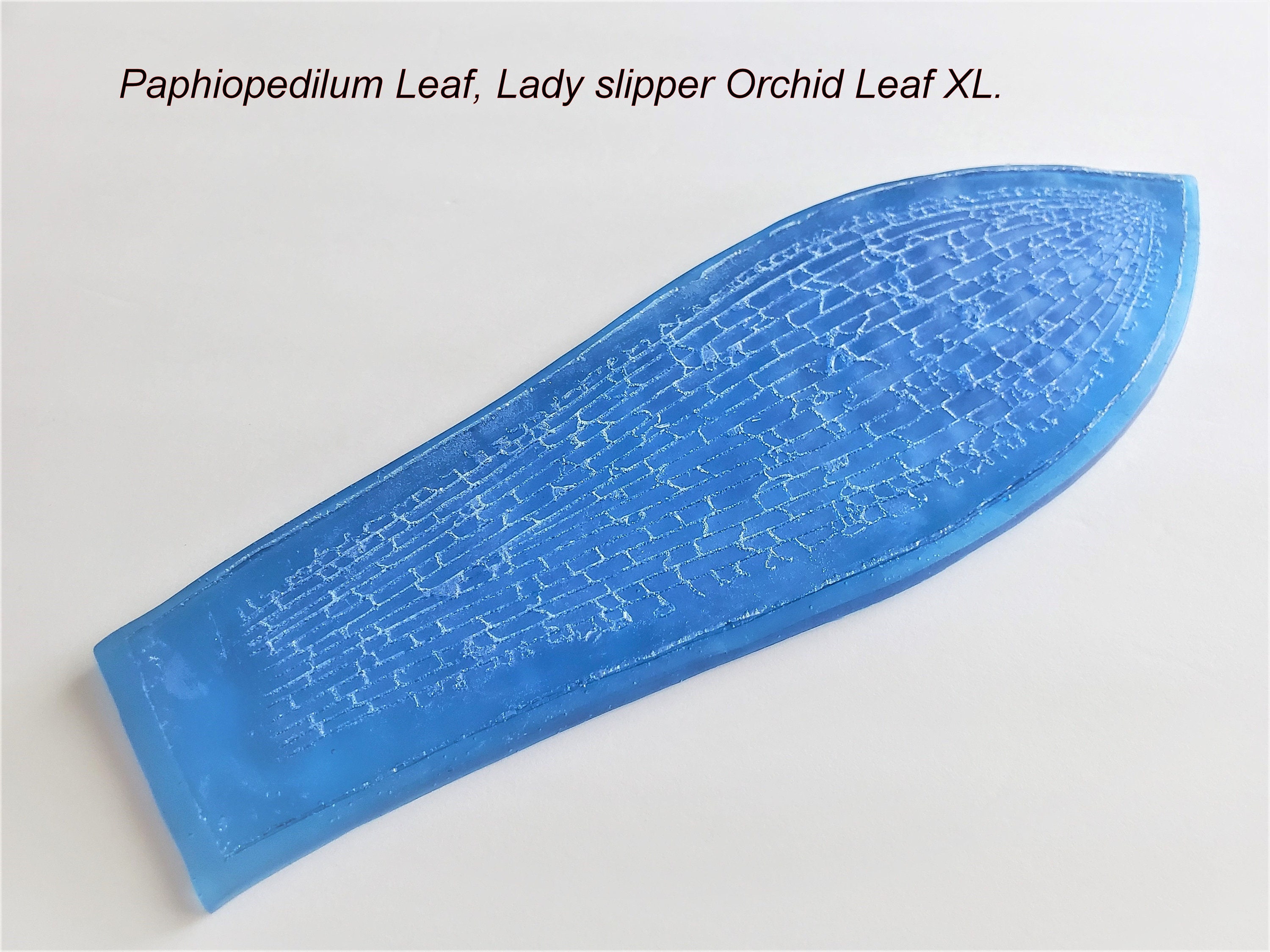 Veiner Resin Molds XL M Paphiopedilum Leaflady Slipper - Etsy UK