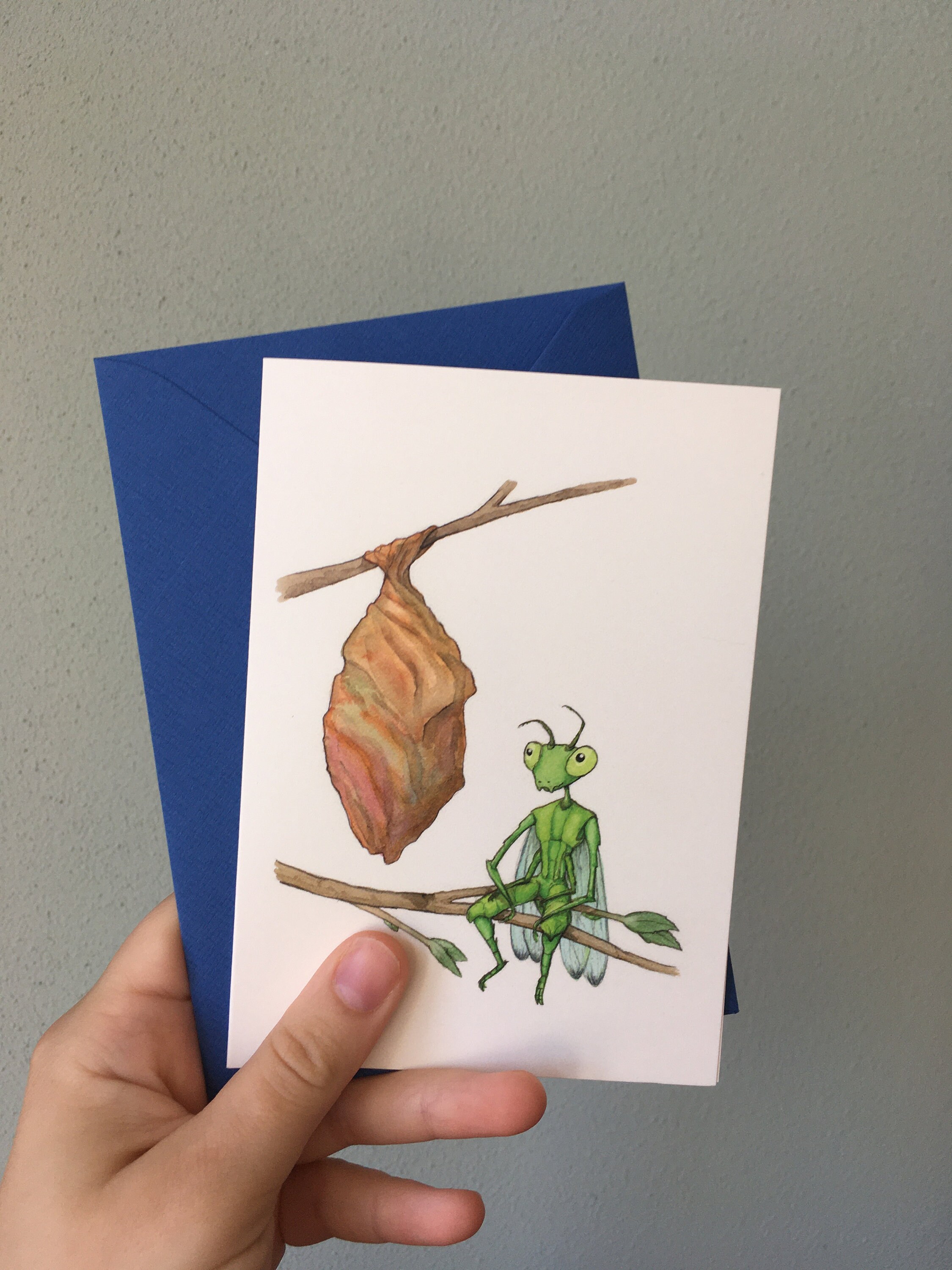 Buzzing postcards insects with envelopes butterfly grasshopper ants ...