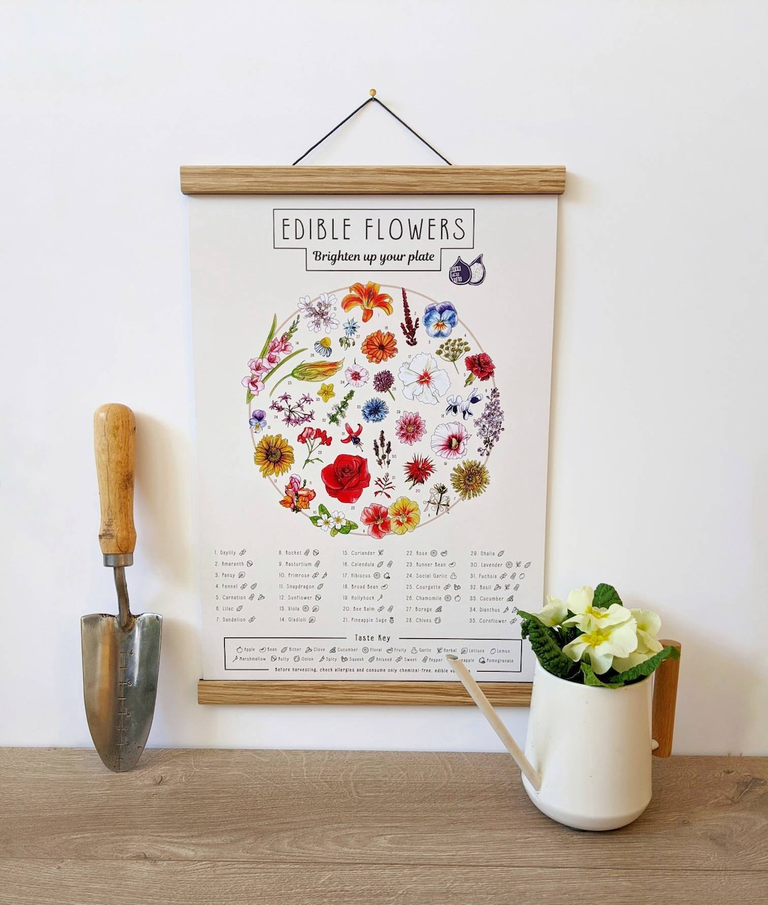 Edible Flowers Chart: A3 Poster /illustrations / Kitchen Art ...