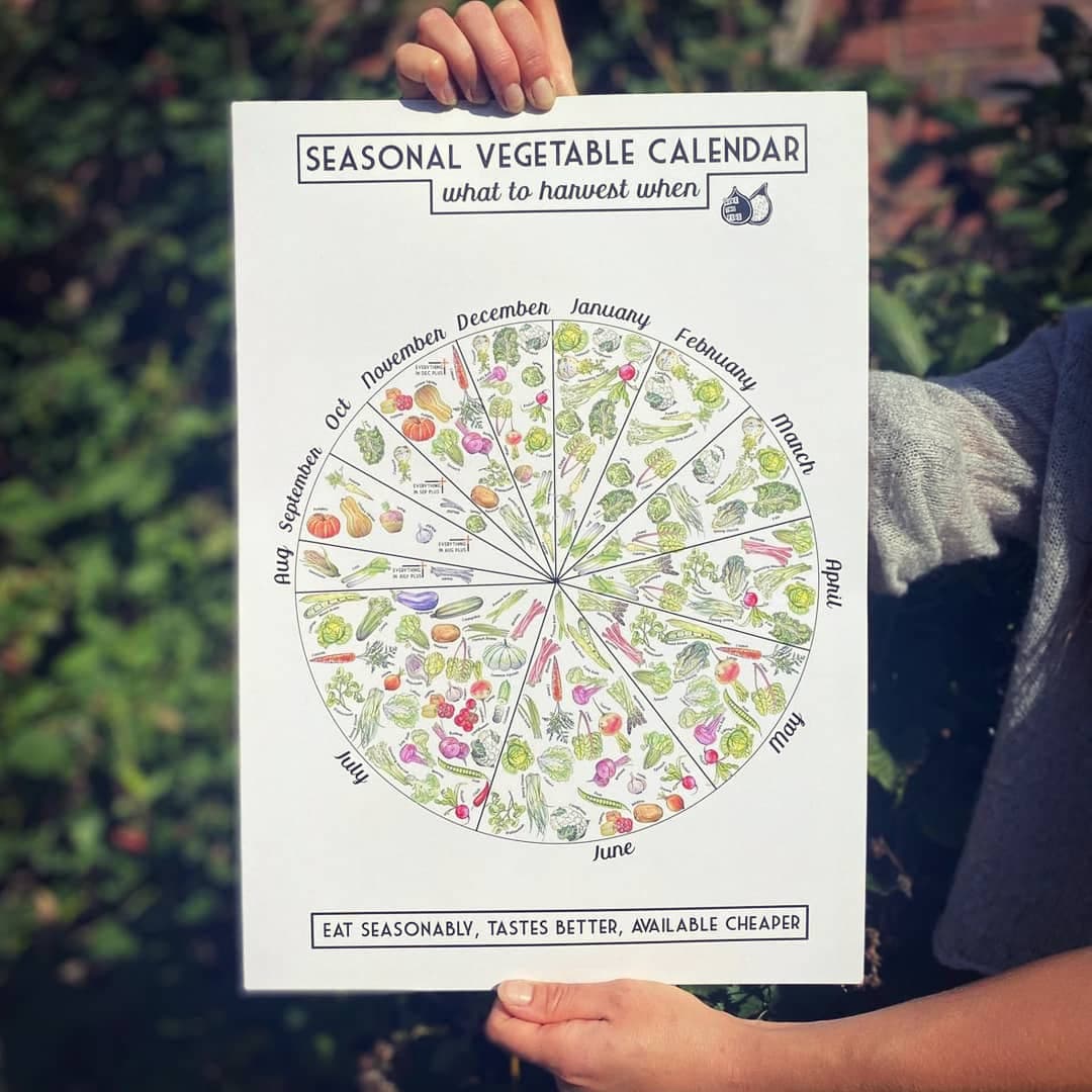 Seasonal Vegetable Harvesting Calendar Chart An A3 Print on | Etsy