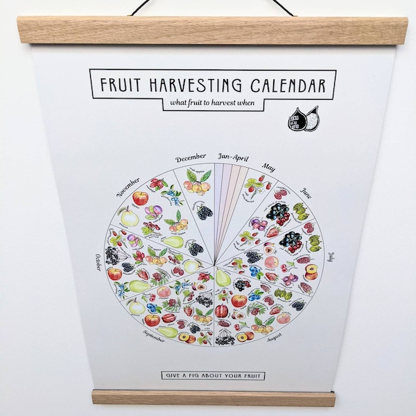 Seasonal Food Poster - Etsy UK