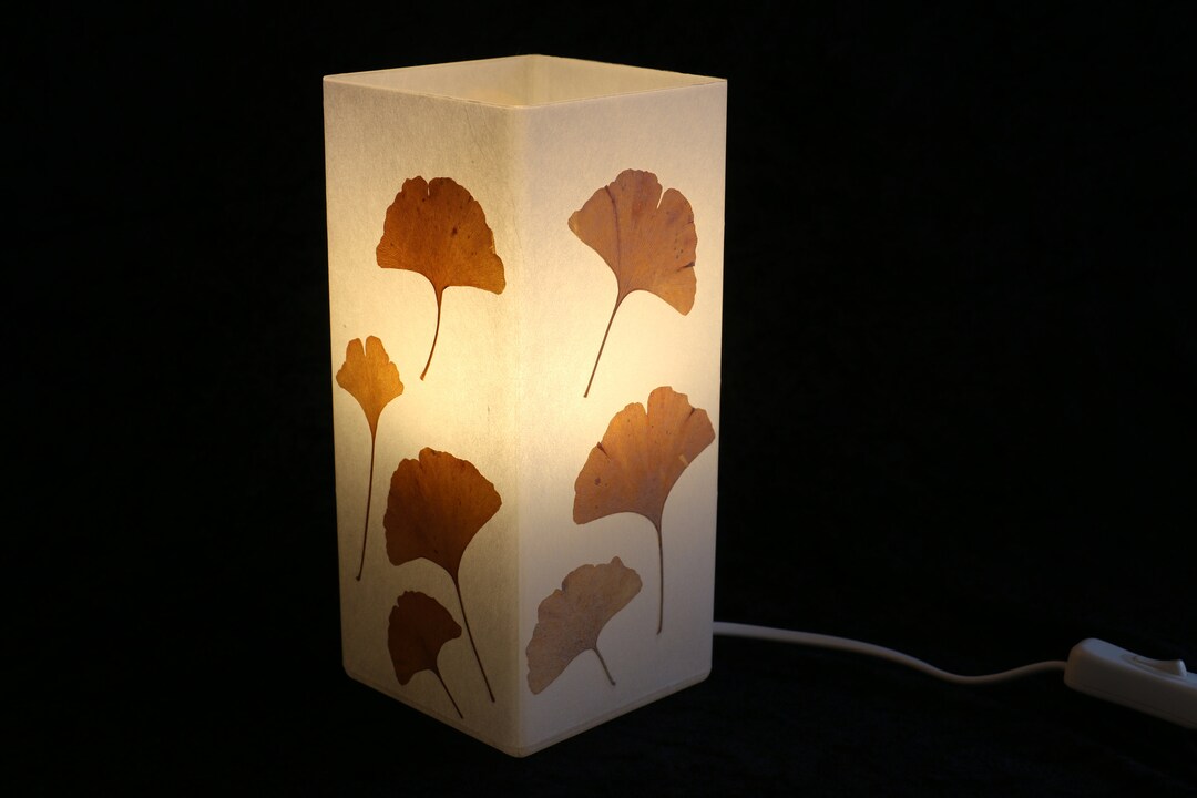 Lampe Mit Gepresstem Ginko, Lamp With Pressed Gingko - Etsy