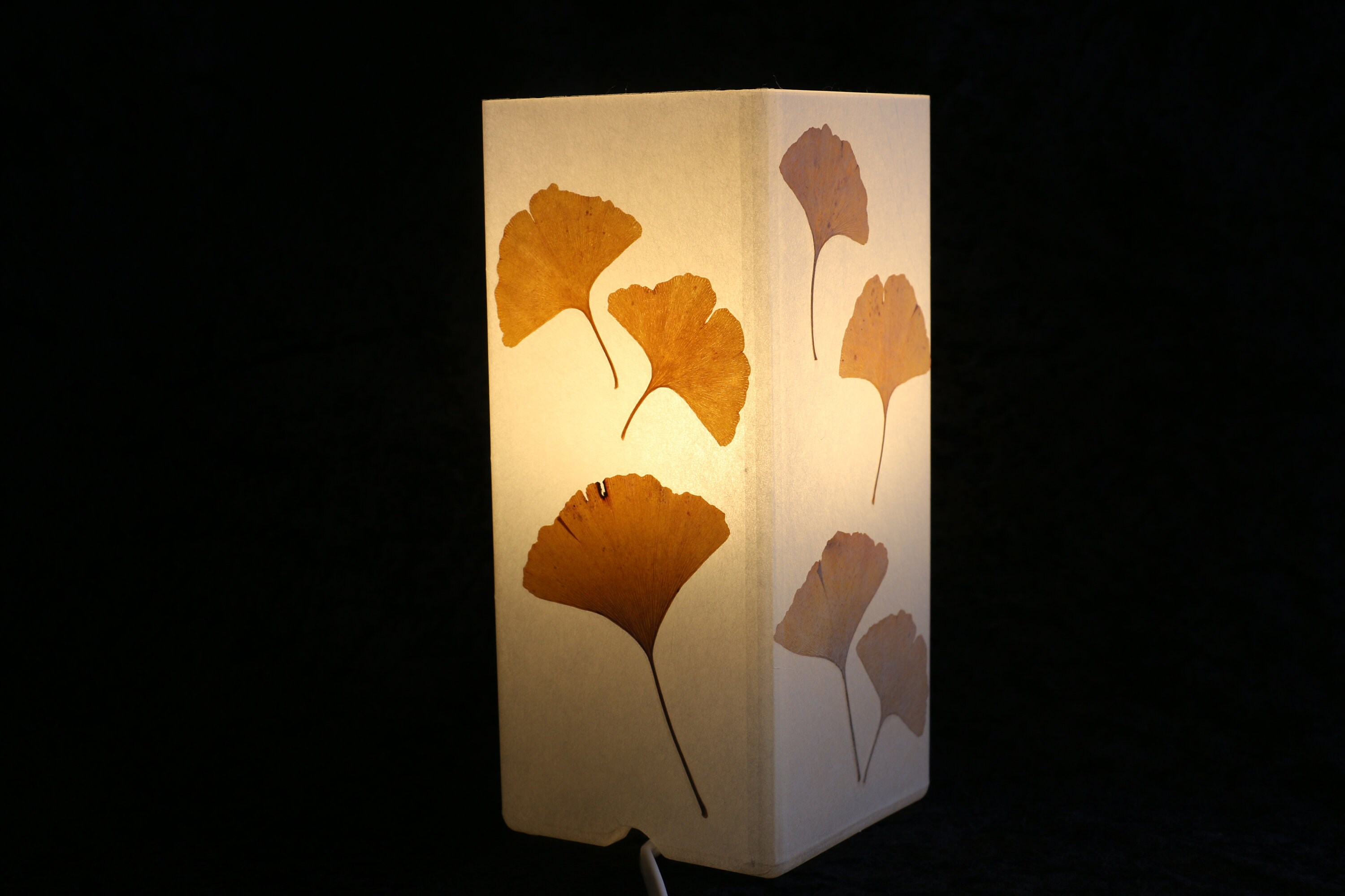 Lampe Mit Gepresstem Ginko, Lamp With Pressed Gingko - Etsy