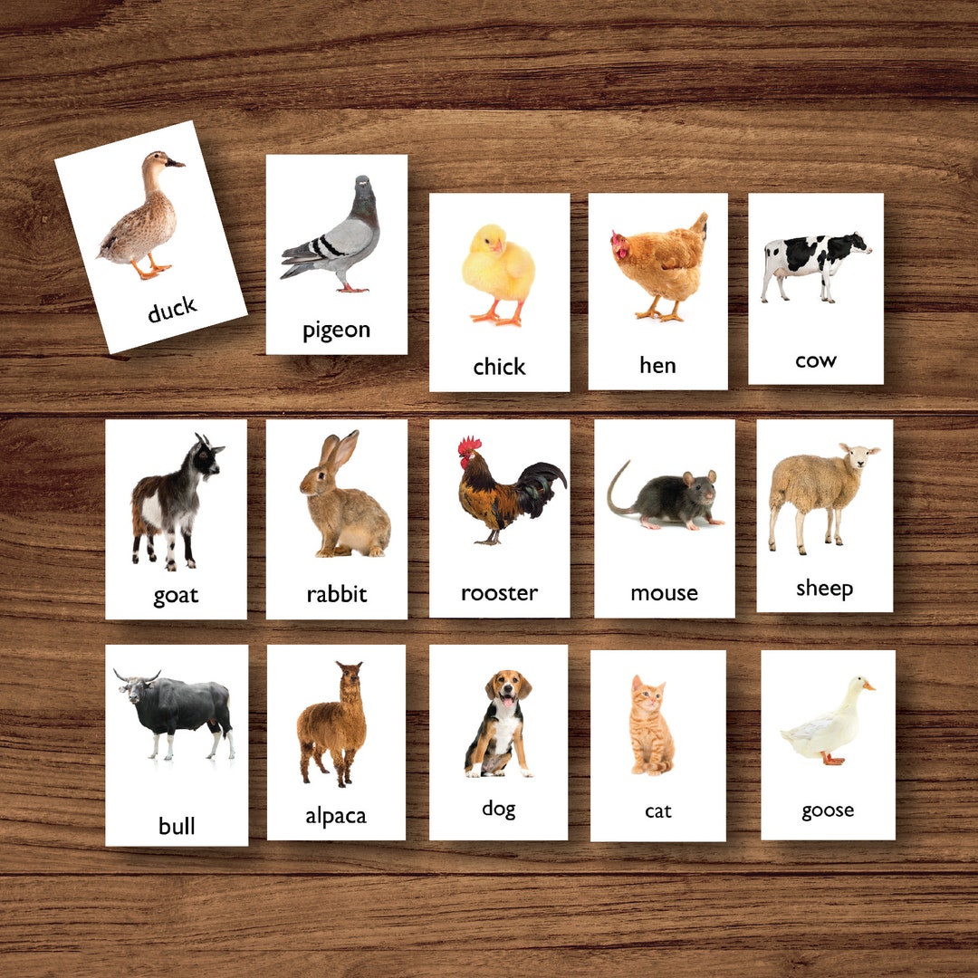 Cartões flash animais de fazenda 24 cartões montessori cartões flash ...