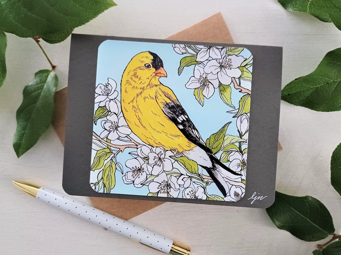 Watercolor Birds Note Card Set, Bird Art Note Cards, Set of 5 Blank ...