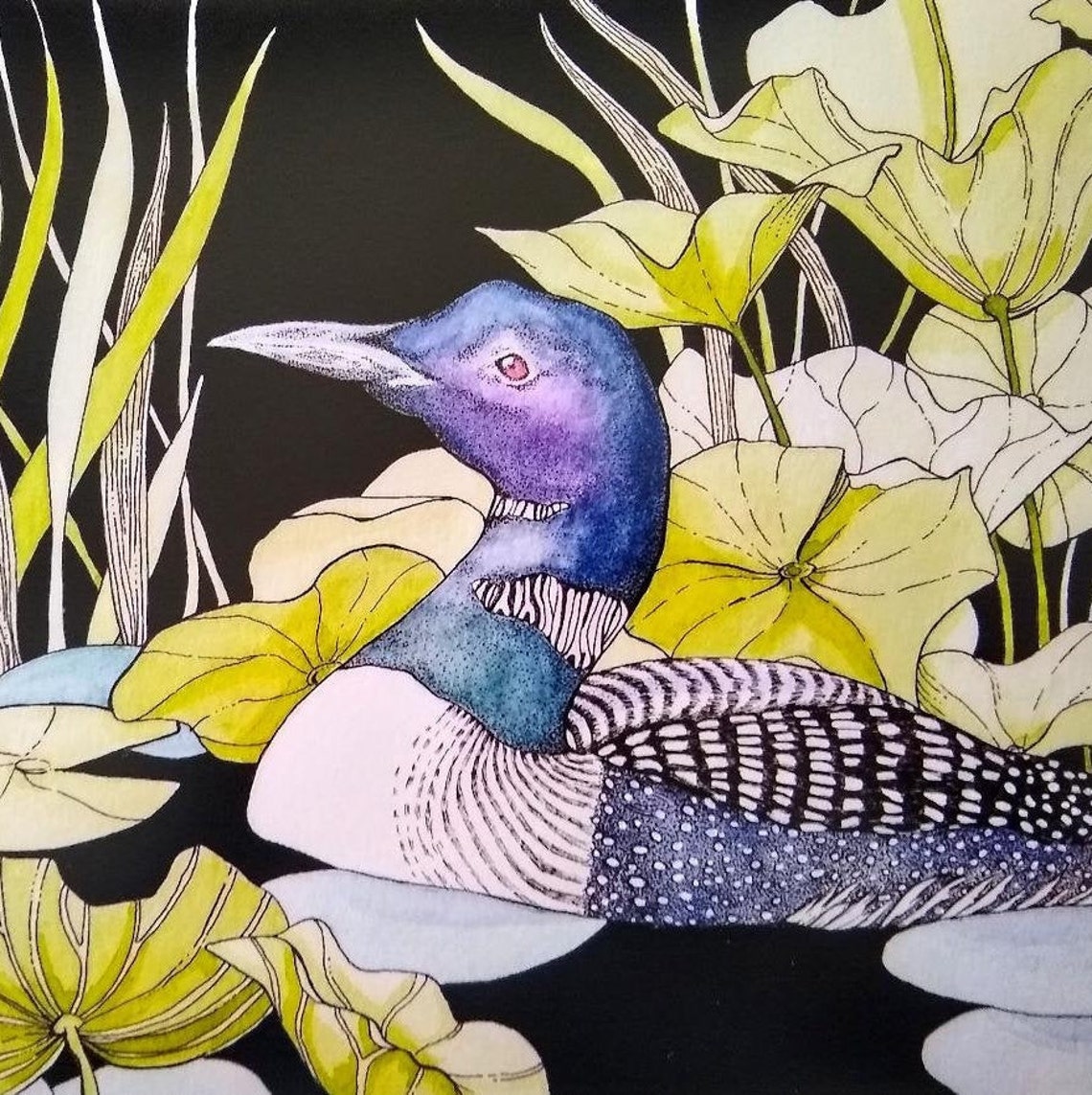 Loon Art Print/ Common Loon Painting/ 8x10 Watercolor Loon - Etsy