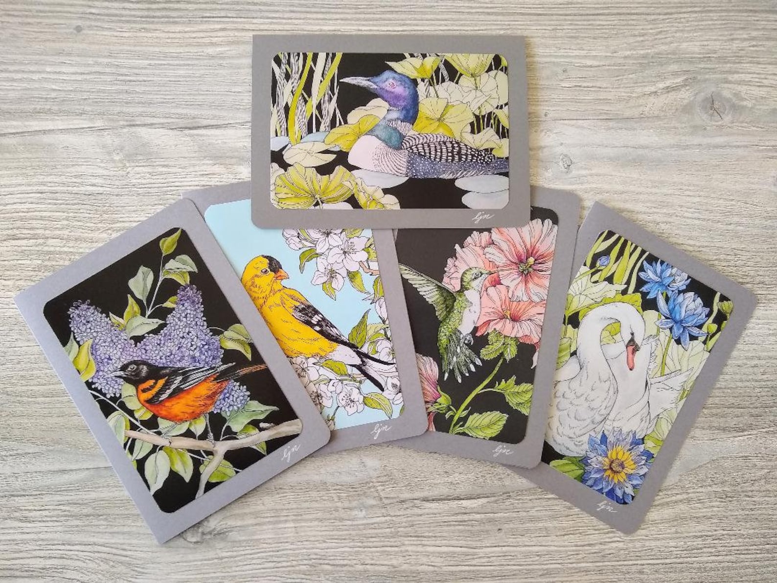 Wild Birds Card Set / 5x7 Blank Cards / Set of 5 Bird Art Cards - Etsy