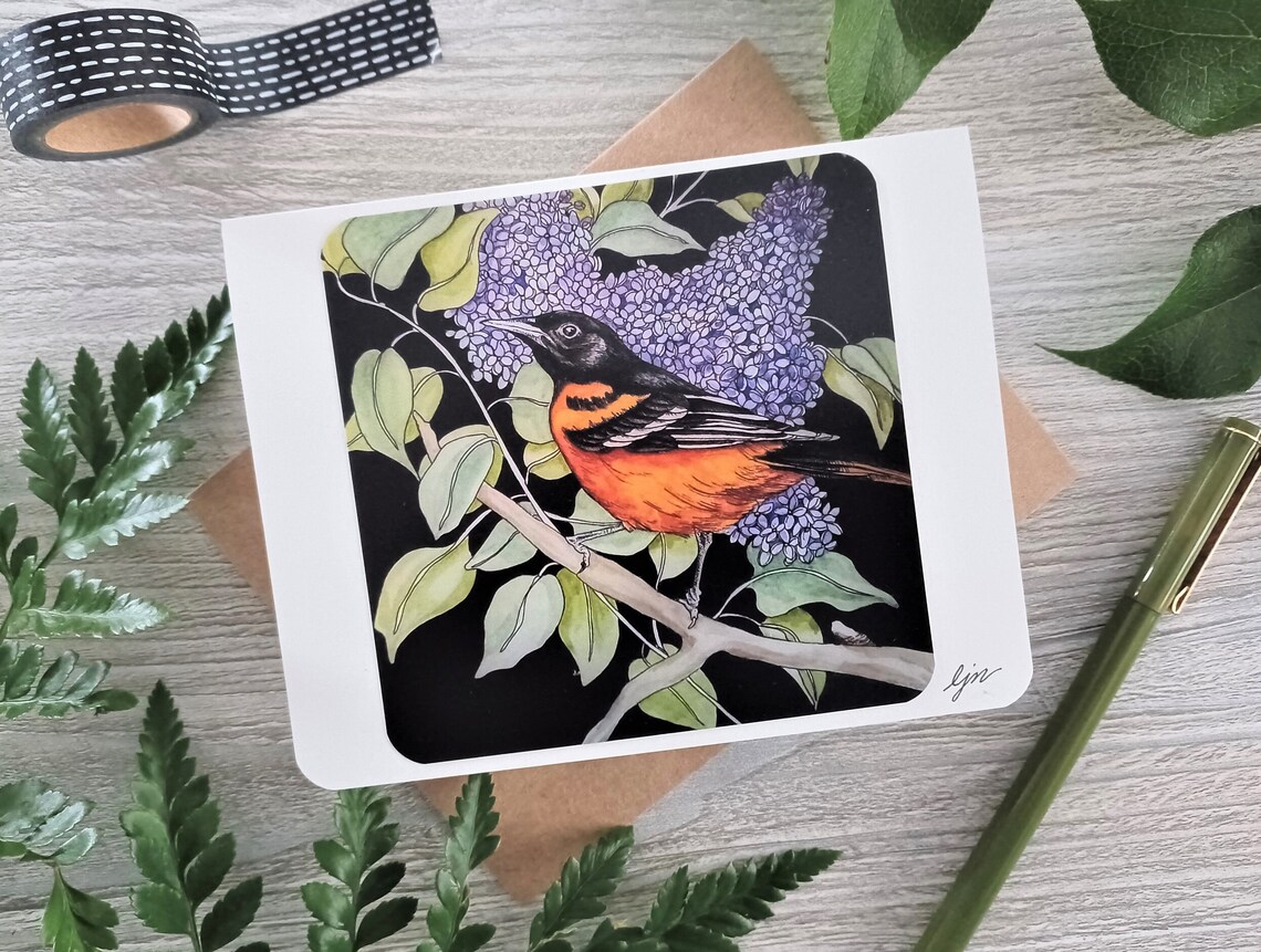 Watercolor Birds Note Card Set, Bird Art Note Cards, Set of 5 Blank ...