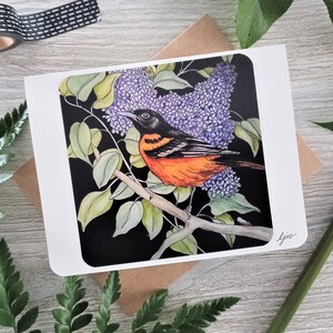 Watercolor Birds Note Card Set, Bird Art Note Cards, Set of 5 Blank ...