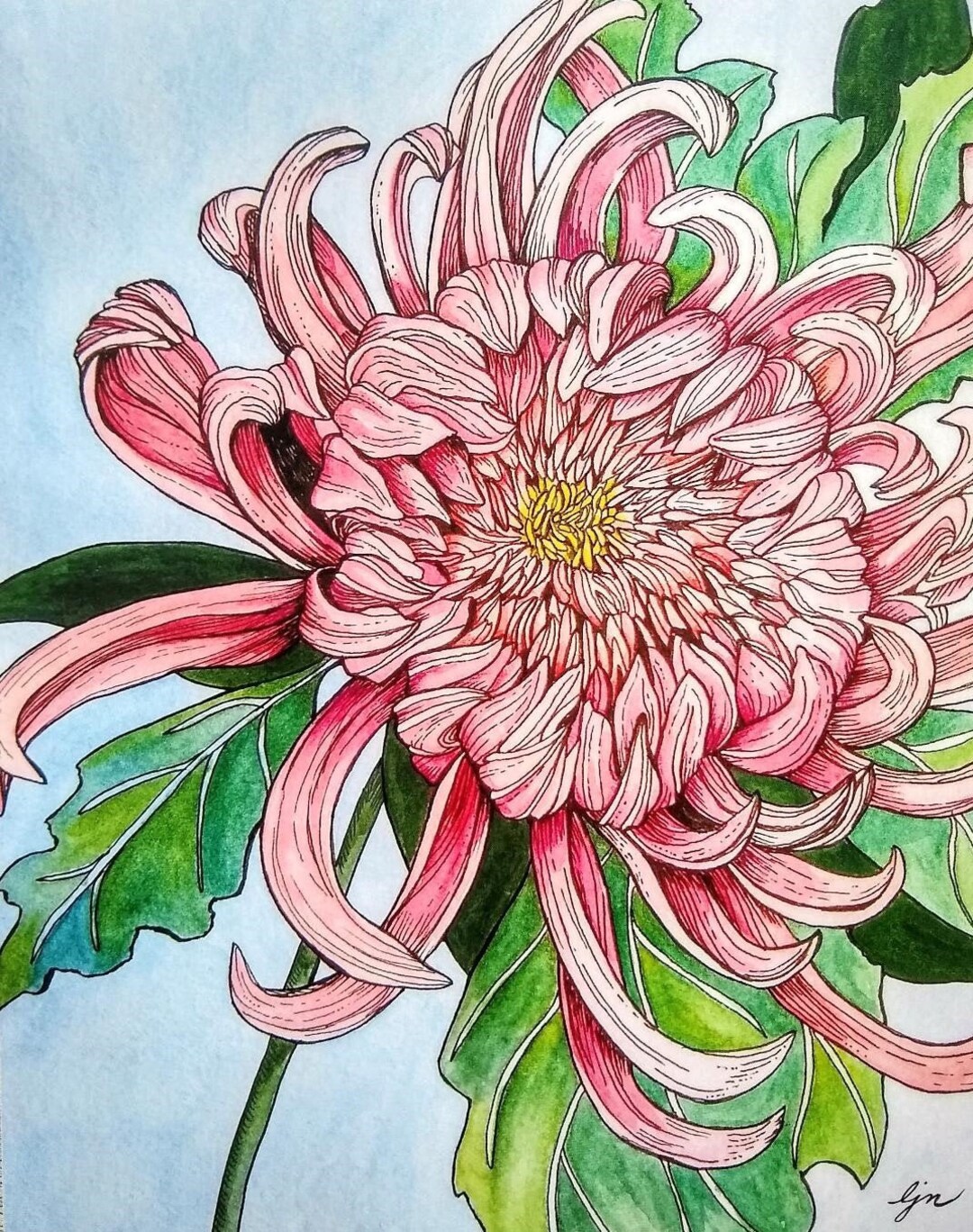 Chrysanthemum Art Print/ Mum Flower Painting/ 8x10 Flower Print - Etsy