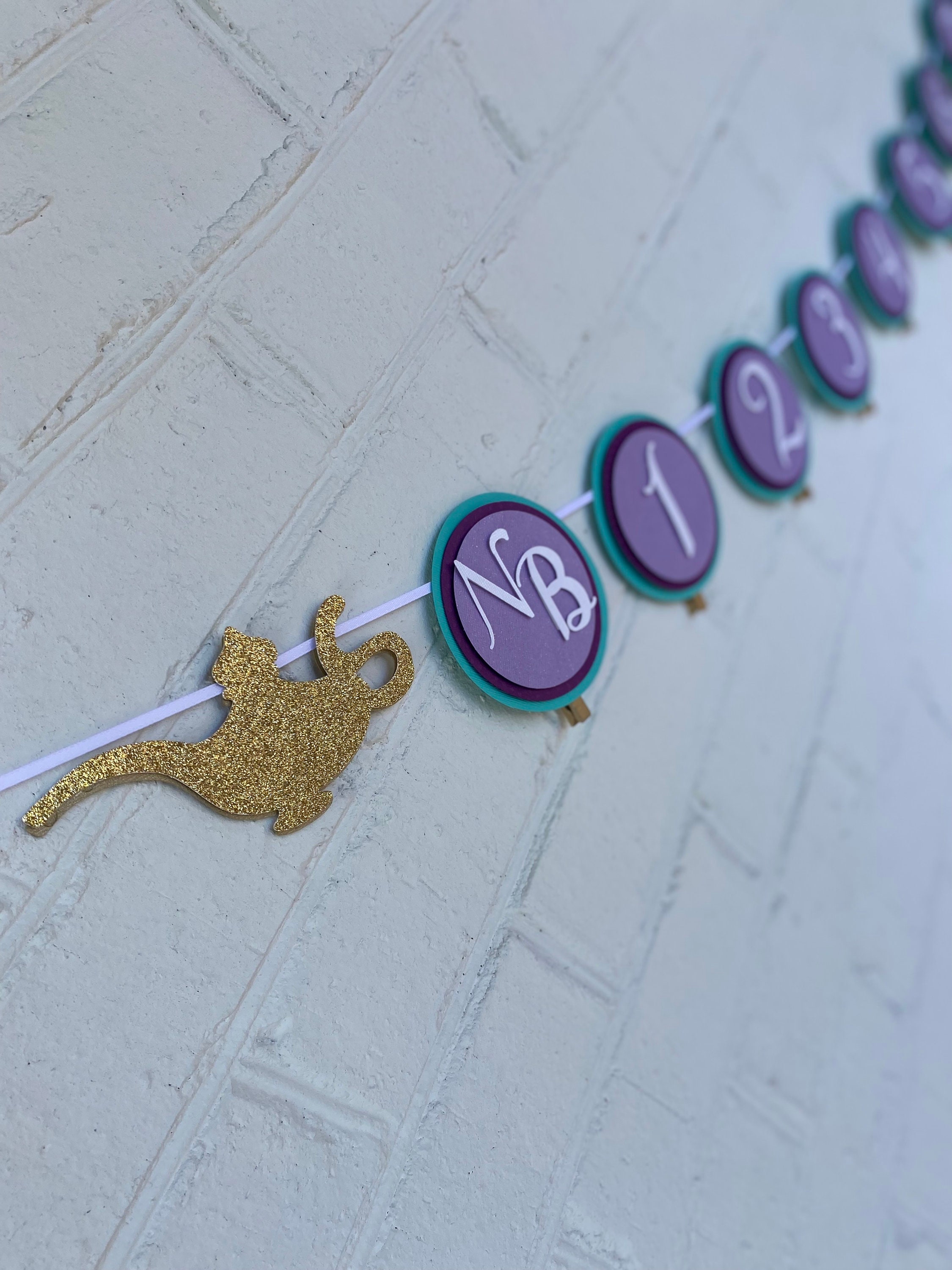 Princess Jasmine Purple Gold Birthday Monthly Milestone Banner - Etsy