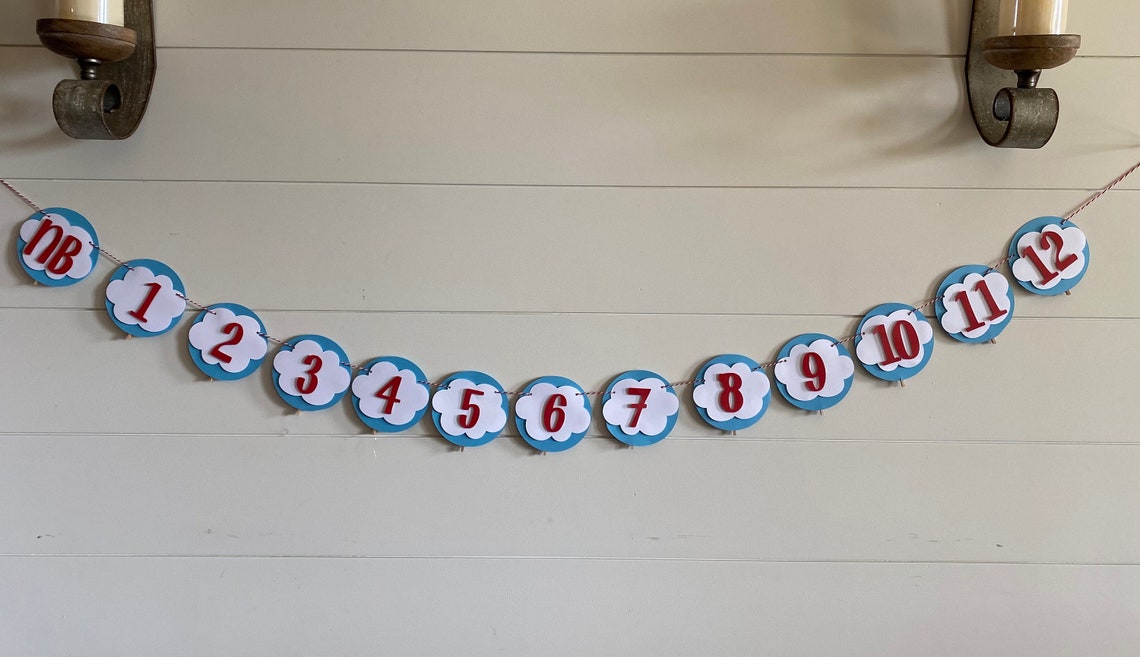 Time Flies Birthday Monthly Milestone Banner | Etsy