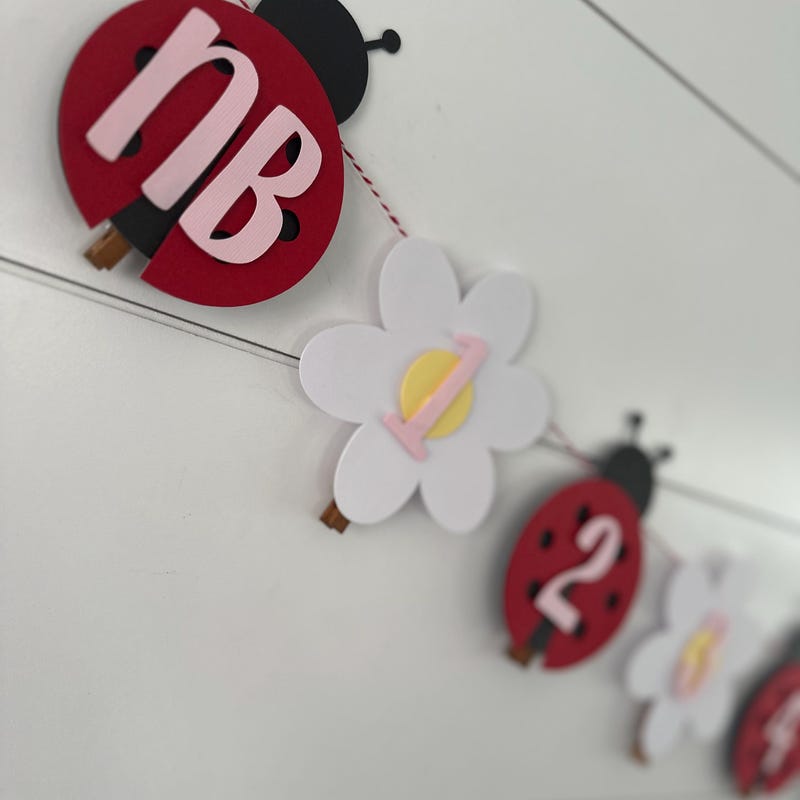 Ladybug Banner - Etsy