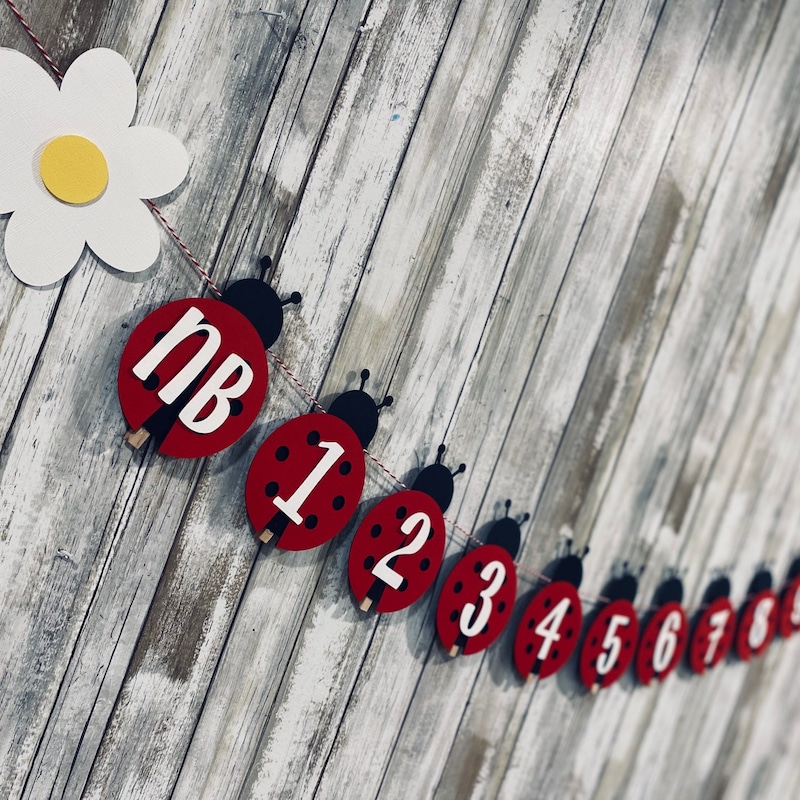 Ladybug Banner - Etsy