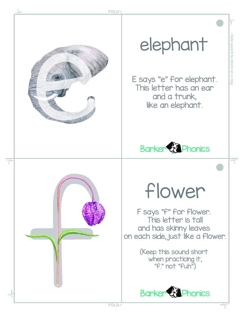 Phonics Flashcards– Letter Sound ABC Cards With Integrated Pictures ...
