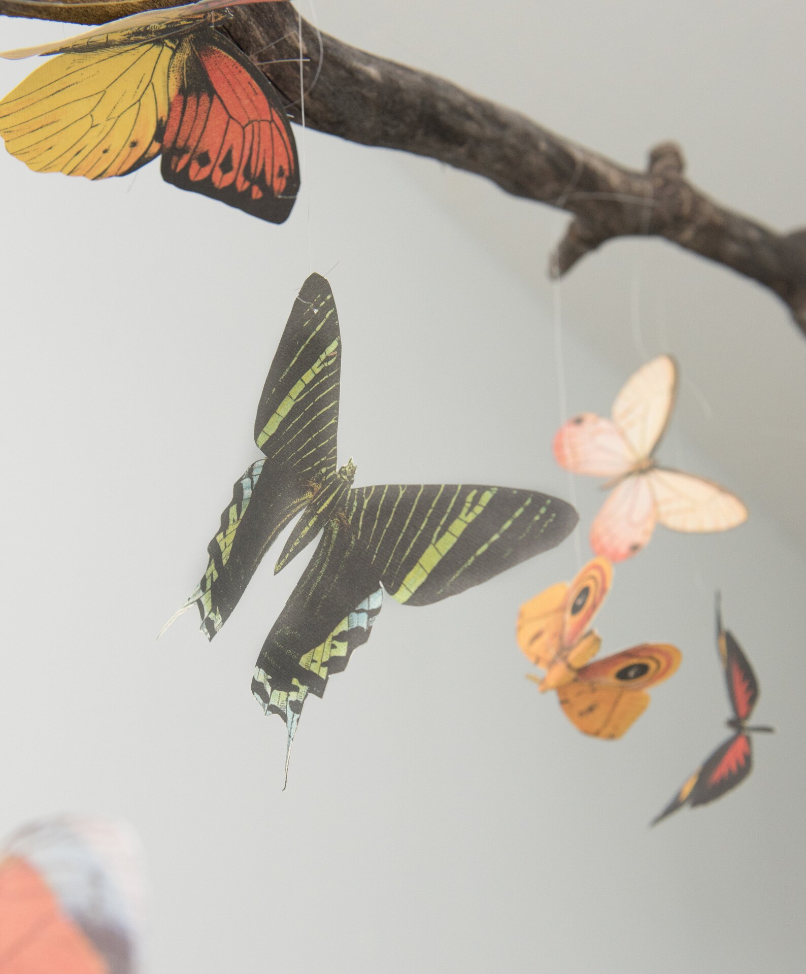 Butterfly Mobile DIY: Printable Nursery Decor (digital Download) - Etsy
