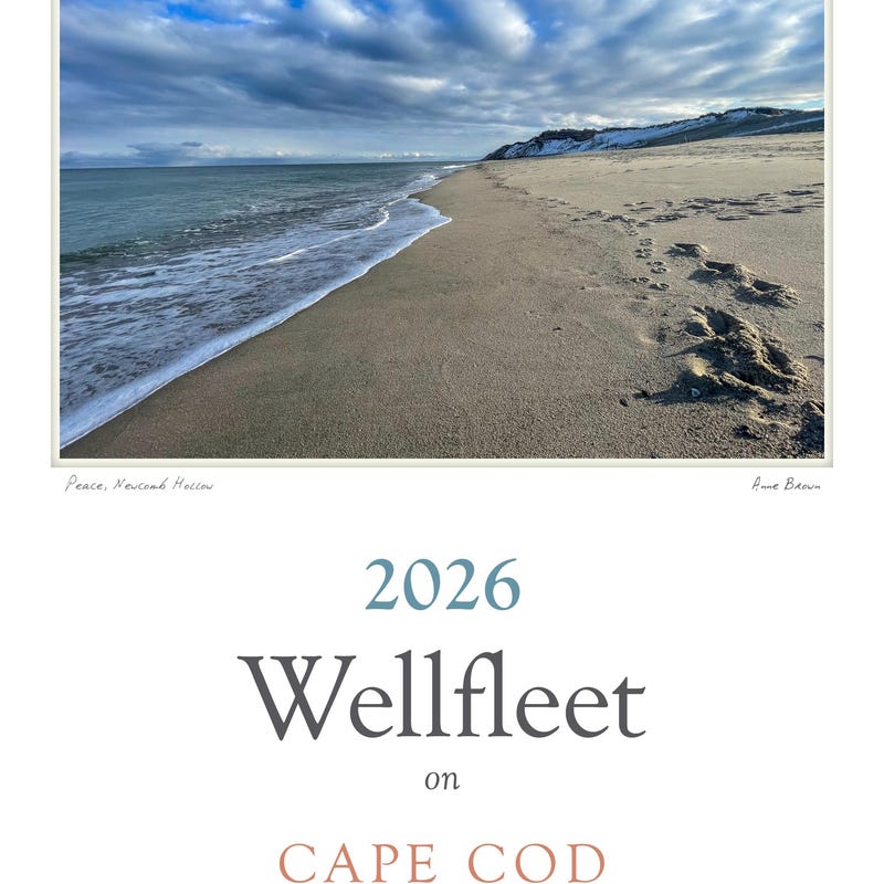 2026 Cape Calendar - Etsy