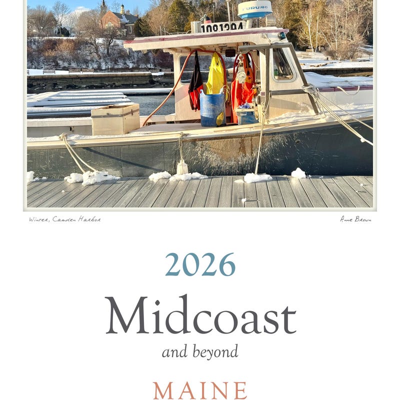 2026 Msufcu Calendar - Etsy Canada