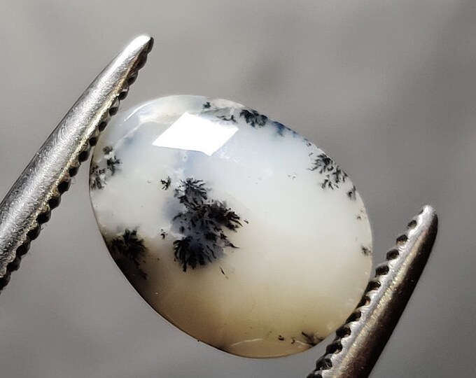 Rare Dendritic Agate Faceted Cut Gemstone, Top Grade Quality of Fancy ...