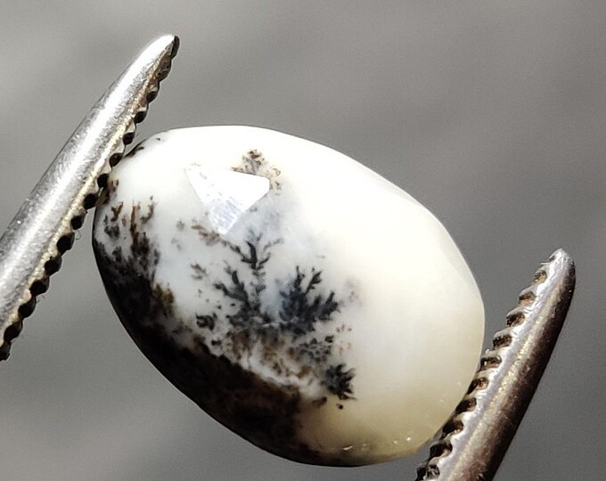 Rare Dendritic Agate Faceted Cut Gemstone, Top Grade Quality of Fancy ...