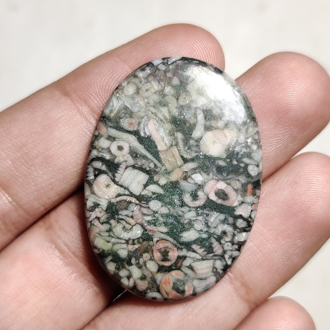 Natural Black Fossil Coral Smooth Cabochon Top Grade Quality - Etsy