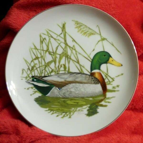 Ned Smith - Etsy