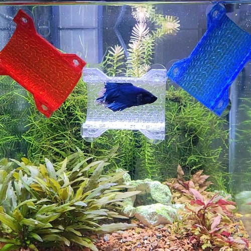 Seeshelter Mini/nano Hospital Tunnel gemstone - Etsy