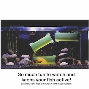 Betta Fish Tunnel: Aquarium & Terrarium Decor - Seeshelter Naturals - Etsy