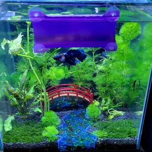 GRAVEL DIVIDER - Seescape™ Stream - Fish Tank Decor for Aquariums ...