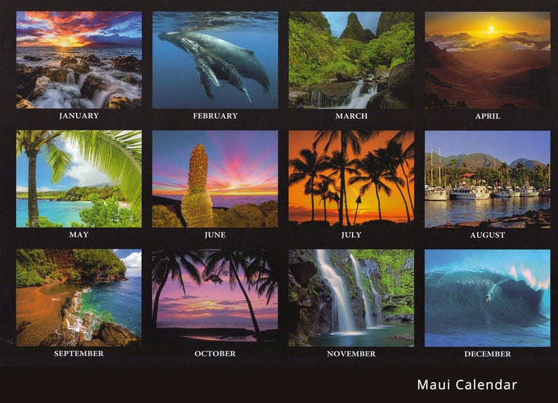 2025 Maui the Valley Isle Monthly Wall Calendar 8.5x11 (buy 2 Get 1 ...