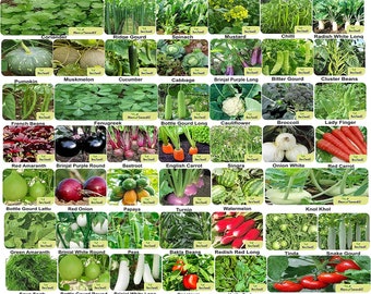 Indian Vegetable Seeds - Etsy