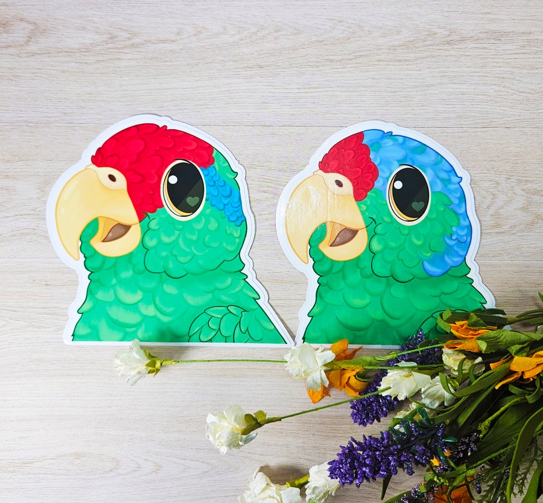 Amazon Parrot Car Peeker Sticker: Waterproof Bird Decal - Etsy