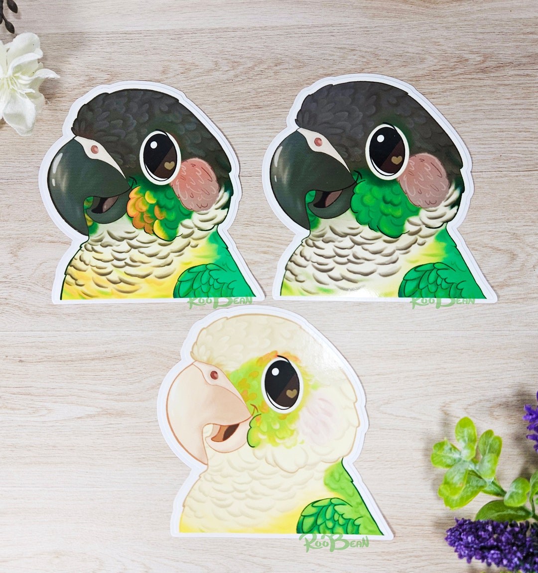 Vinyl Green Cheek Conure Car Sticker - Water and Weatherproof - Peaker ...