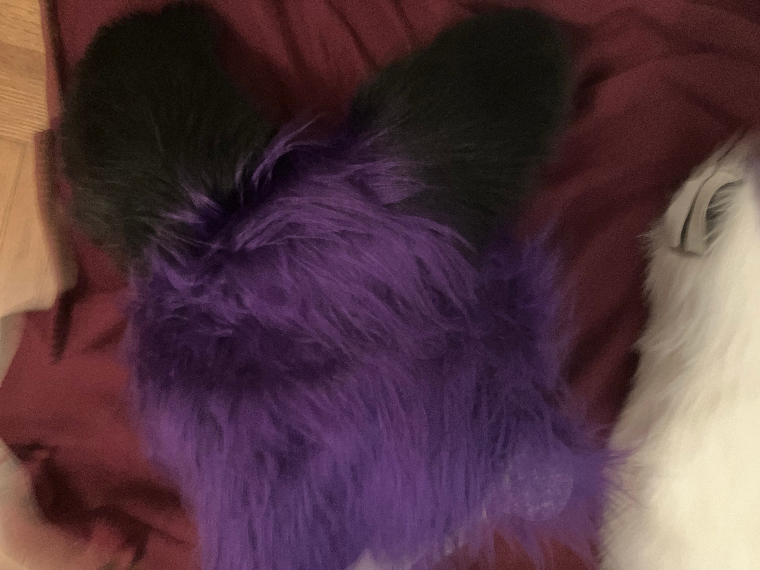 Purple Lavafox Fursuit 2017 Head and Tail Set Fursuit Mini Partial Used ...