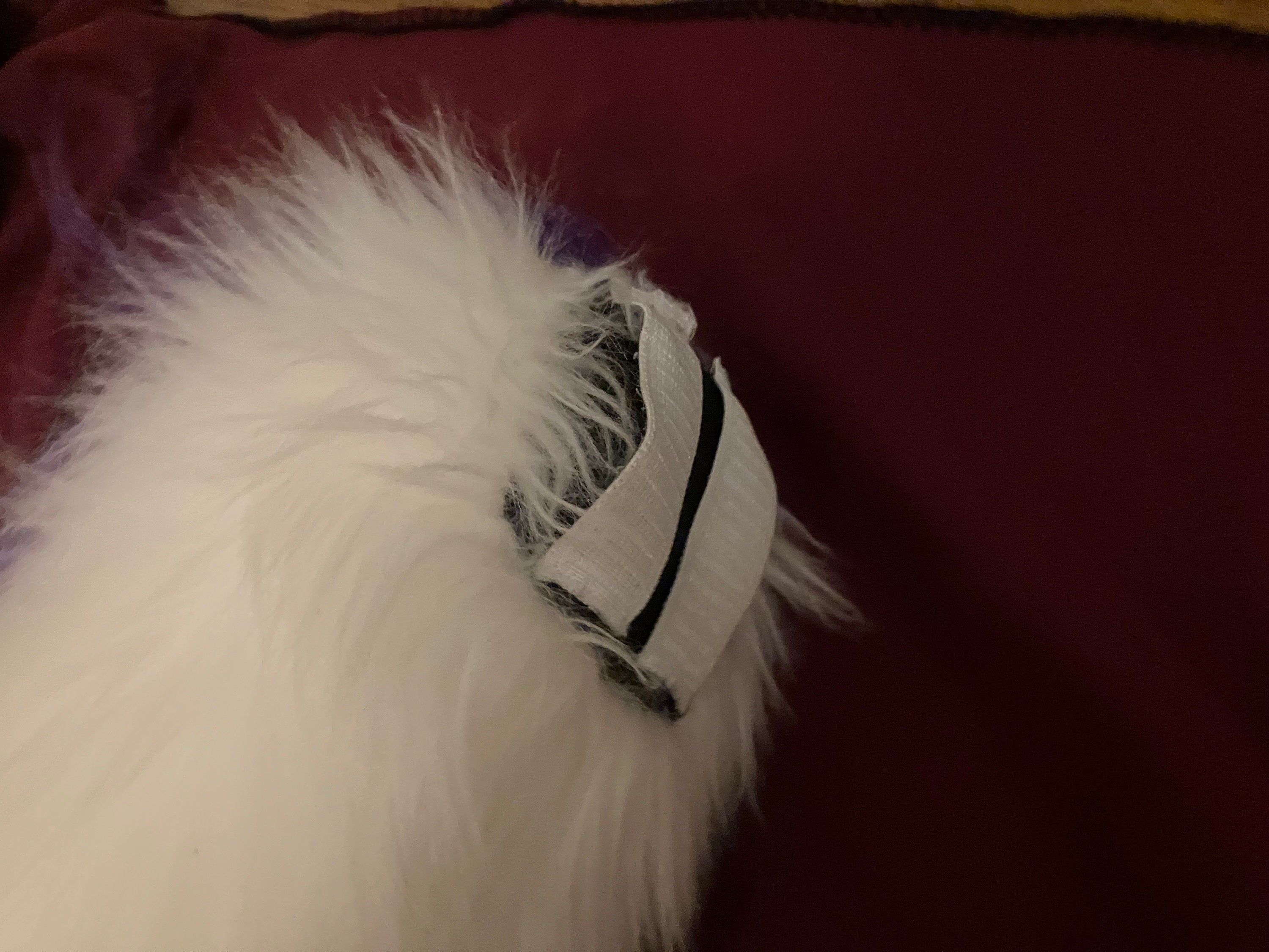 Purple Lavafox Fursuit 2017 Head and Tail Set Fursuit Mini Partial Used ...