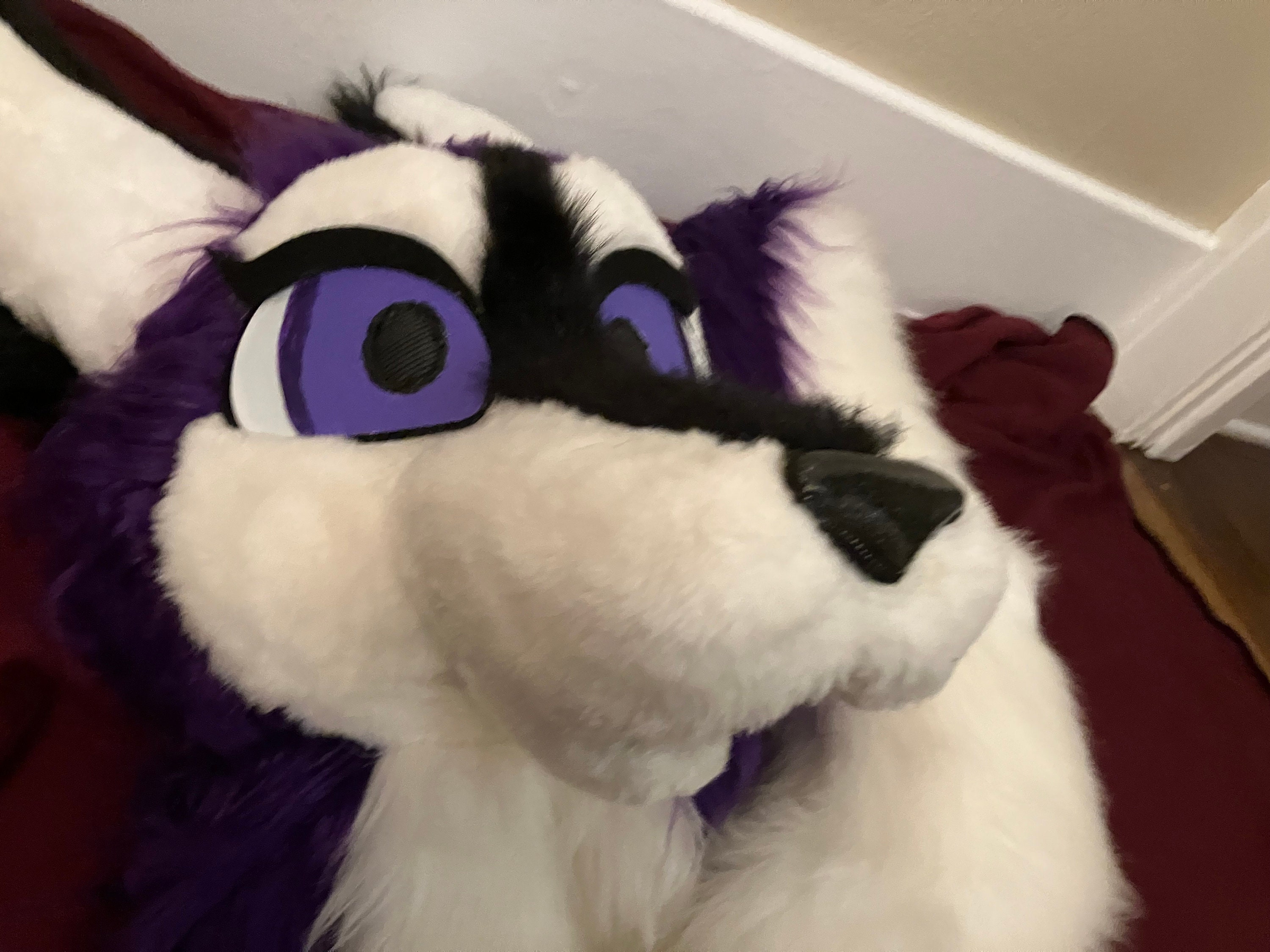 Purple Lavafox Fursuit 2017 Head and Tail Set Fursuit Mini Partial Used ...