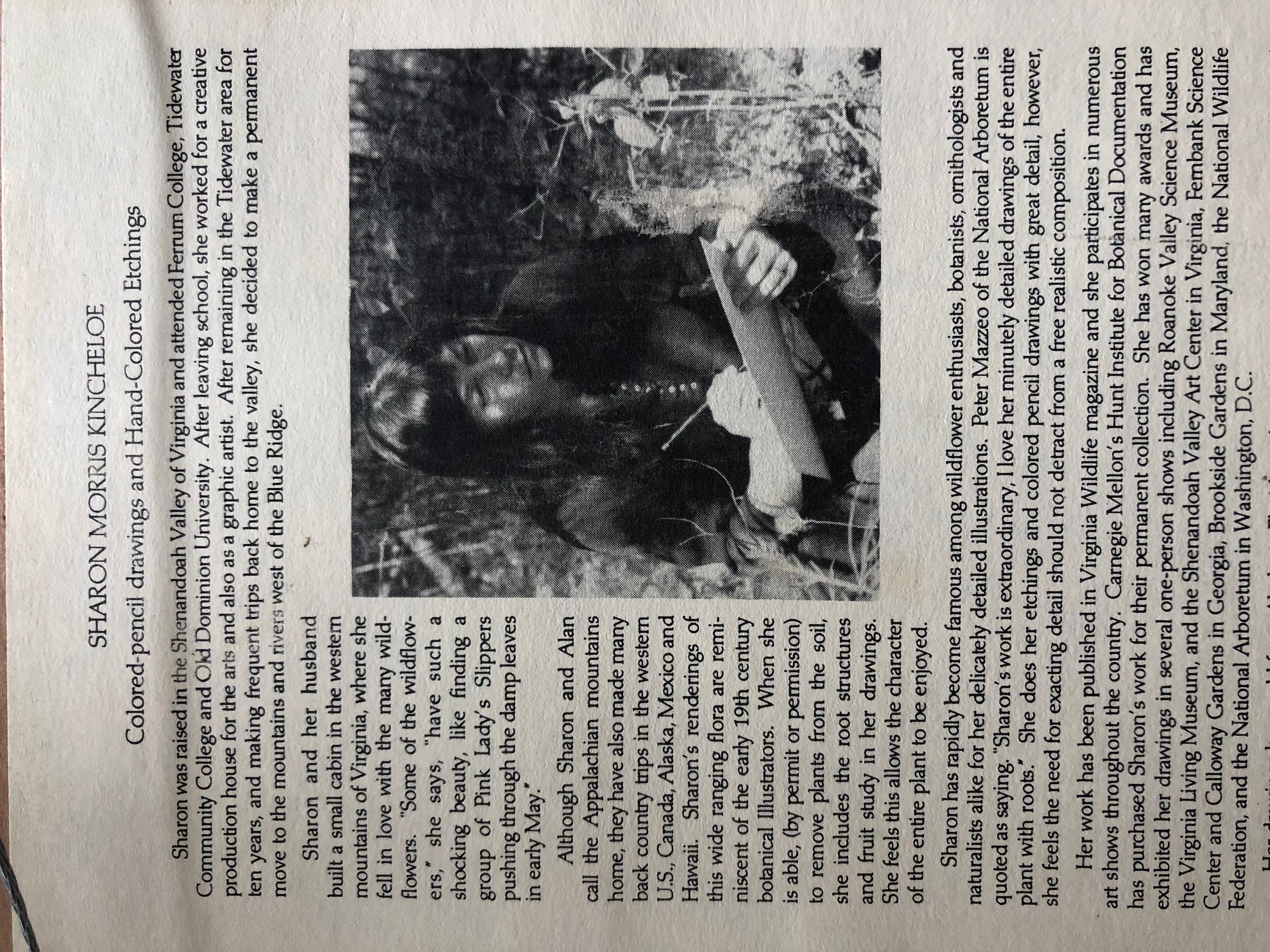 Original Etching by Sharon Morris Kencheloe, Zebra Swallowtail ...