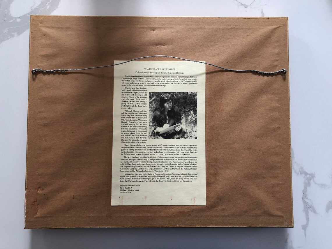 Original Etching by Sharon Morris Kencheloe Zebra Swallowtail | Etsy