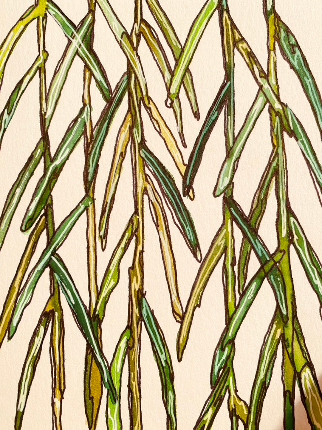 HOUSEPLANT Hoya Linearis Watercolor Print, Happihippishop, Handmade Art ...