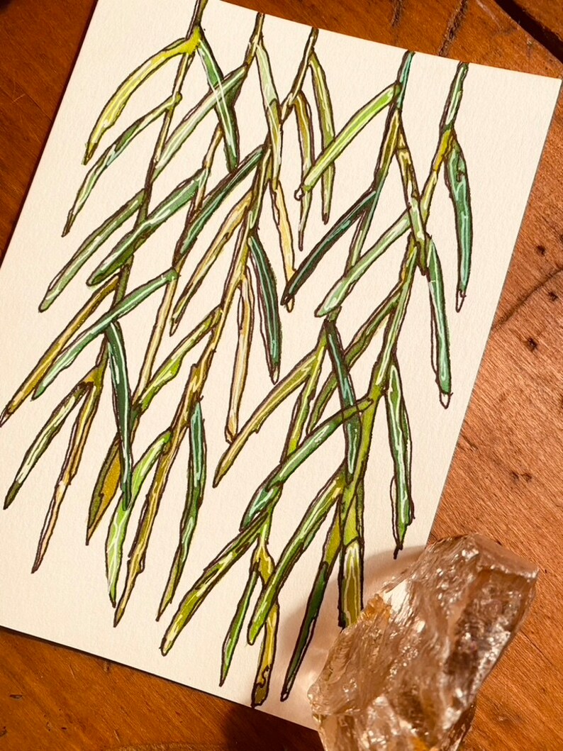 HOUSEPLANT Hoya Linearis Watercolor Print Happihippishop - Etsy