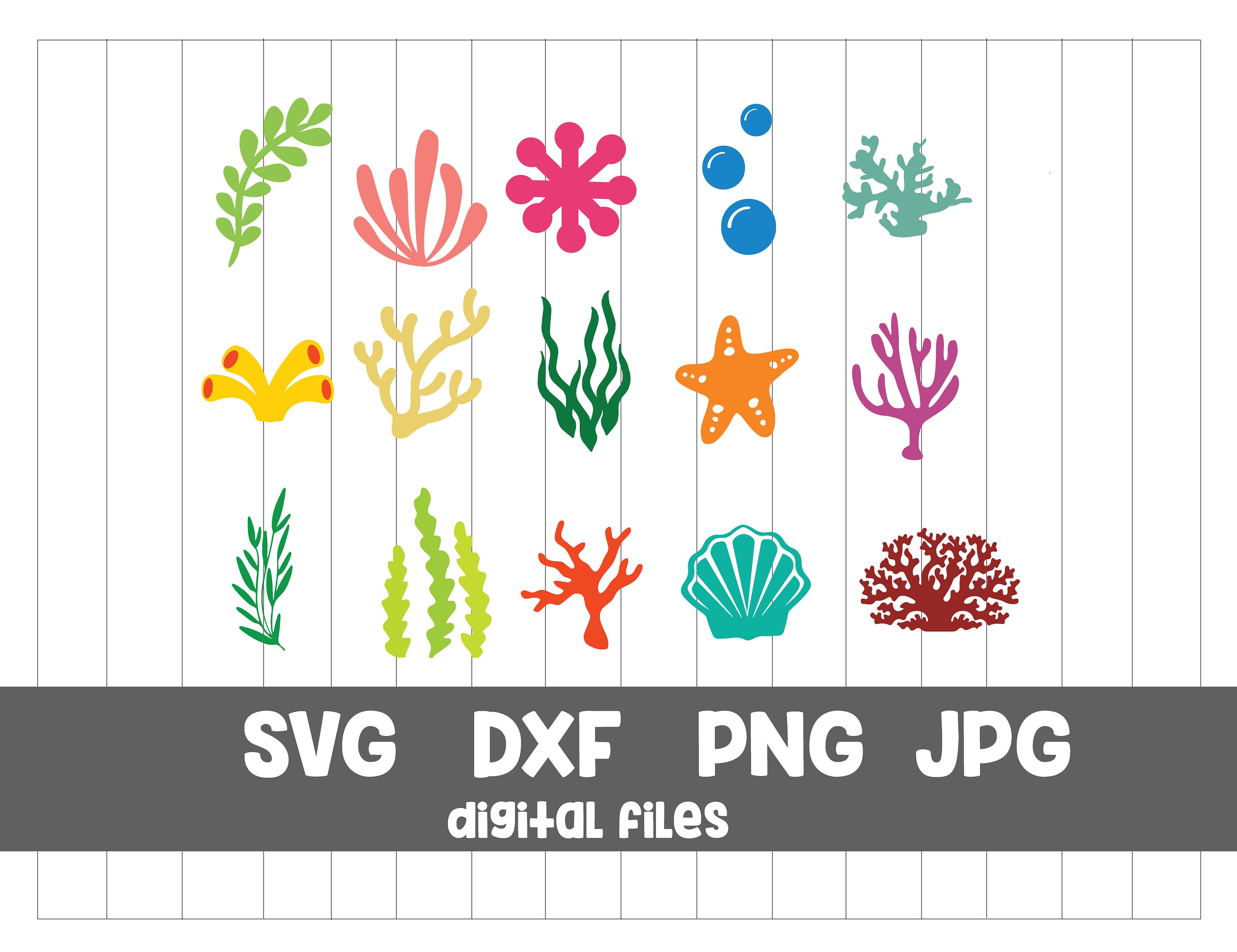 Elements Underwater Svg Seal Svg Under the Sea Svg Ocean - Etsy