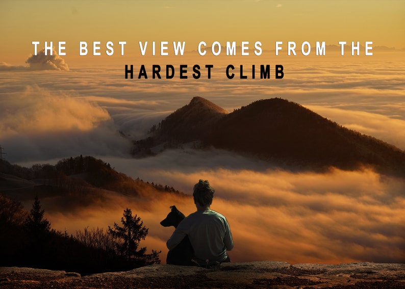 Wall Art: the Best View Comes From the Hardest Climb, Inspirational ...