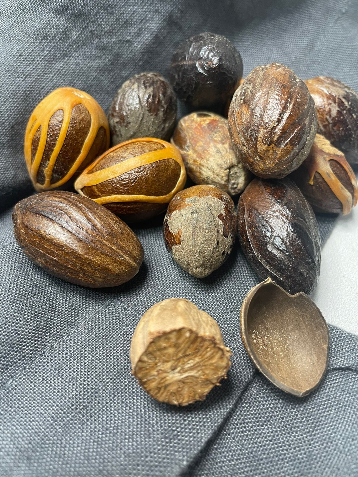 Dried Organic Nutmeg. Whole Seed in Shell. - Etsy