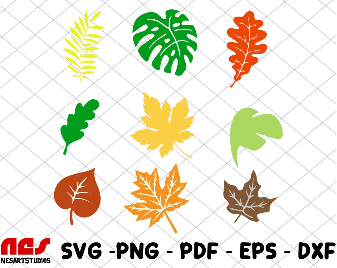 Fall Leaves Svg, Fall Svg, Fall Leaf Svg Bundle, Fall Png, Dxf, Clipart ...