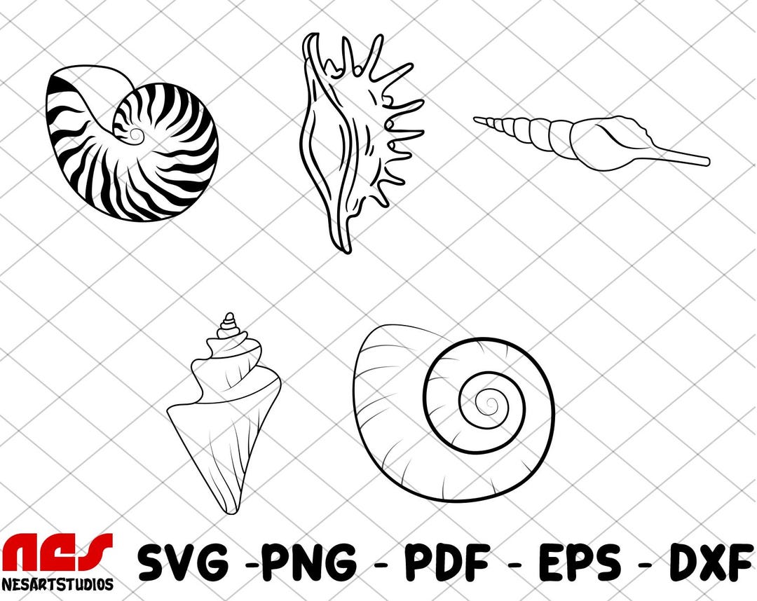 Seashell Clipart Bundle, Sea World SVG, Cut Files (digital Download) - Etsy