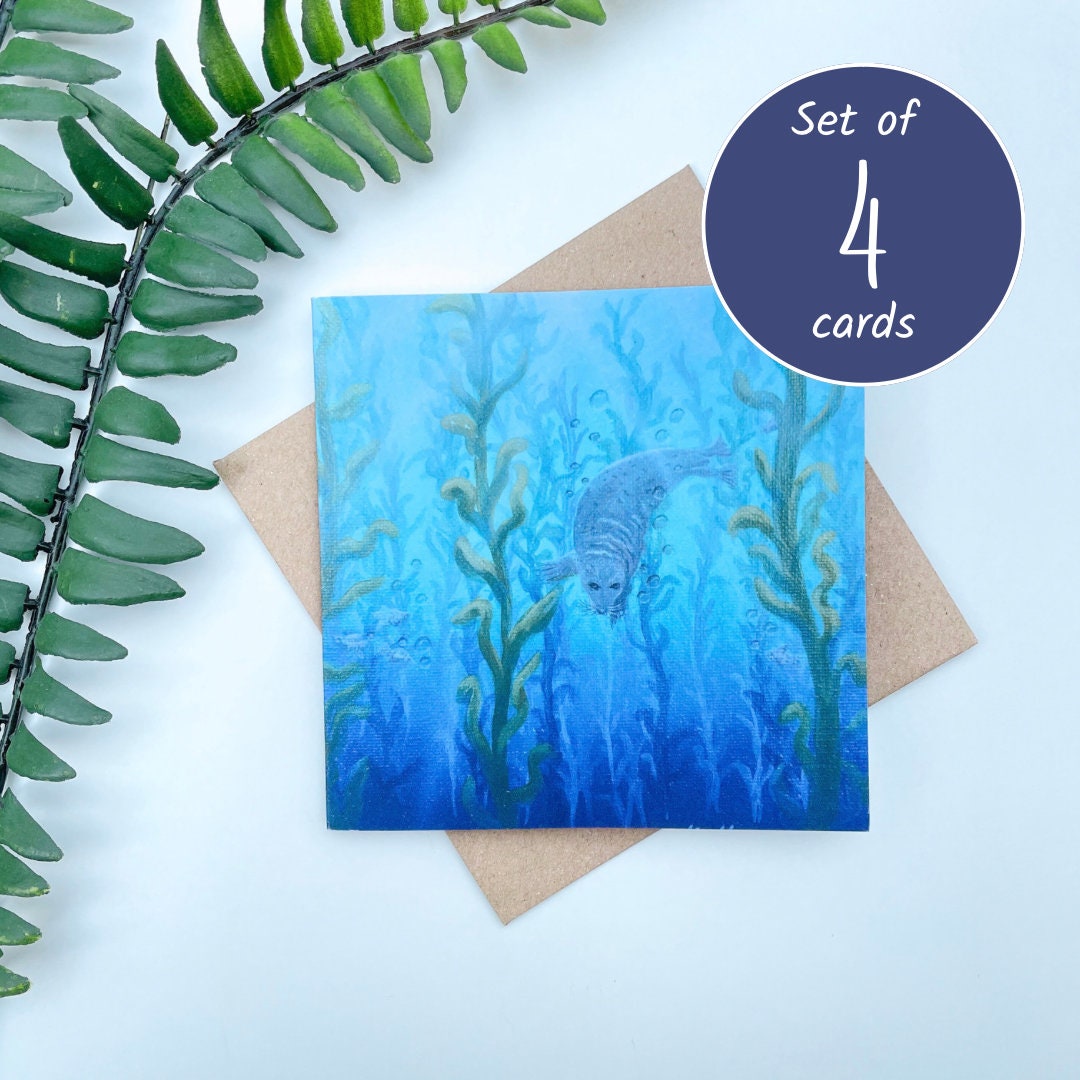 Seal Cards Pack, Set of 4 Blank Inside Cards, Wildlife Inspired Gift ...