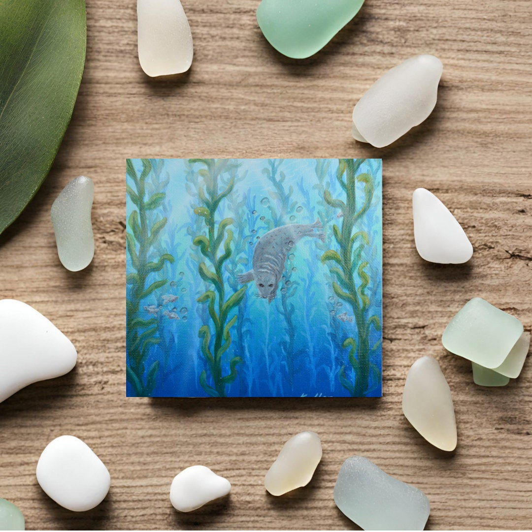 Seal Cards Pack, Set of 4 Blank Inside Cards, Wildlife Inspired Gift ...
